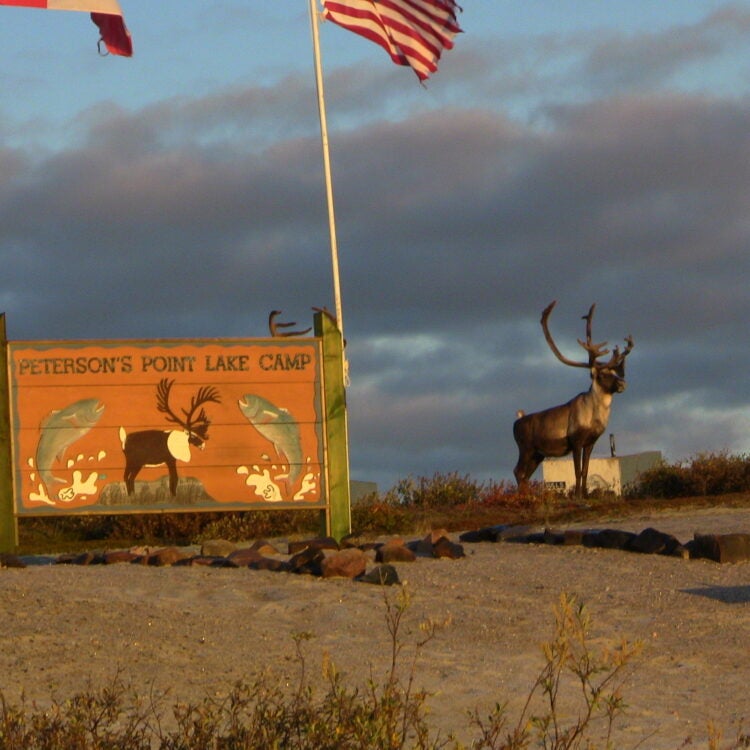 Lake Trout Fishing | Photography | Peterson’s Point Lake Lodge