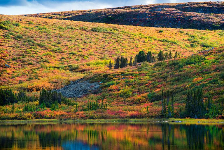 Peterson's Point Lake Lodge | The Wild Arctic | Canadian Tundra, The ...
